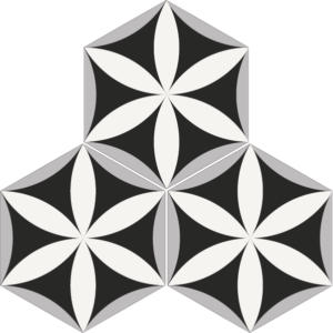 Mission Cement Tile Fiore Hexagonal – Casa Castillo