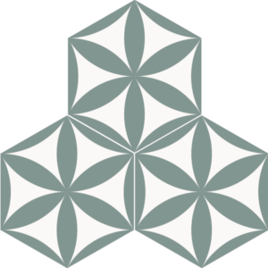 Mission Cement Tile Fiore Hexagonal 2 – Casa Castillo